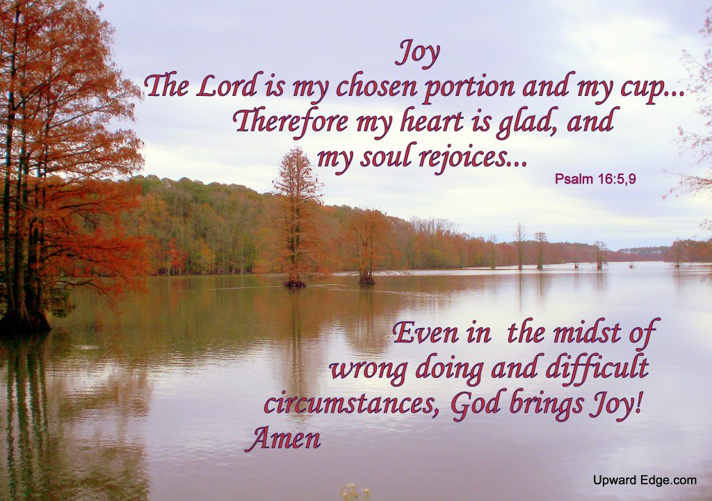 Joy Message – Faithscape